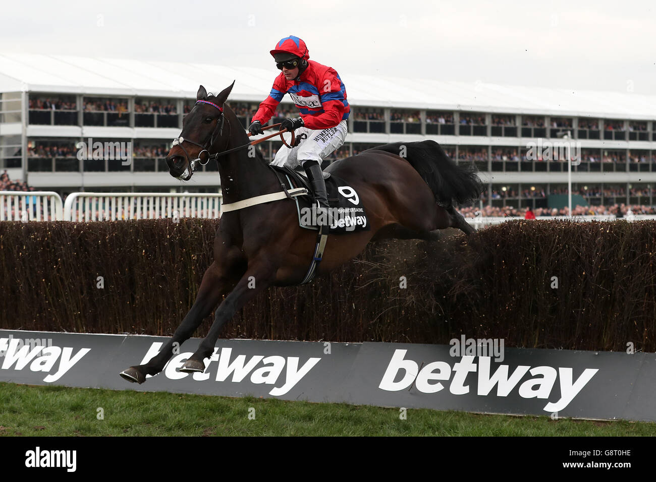Sprinter sacre champion chase hi-res stock photography and images - Alamy