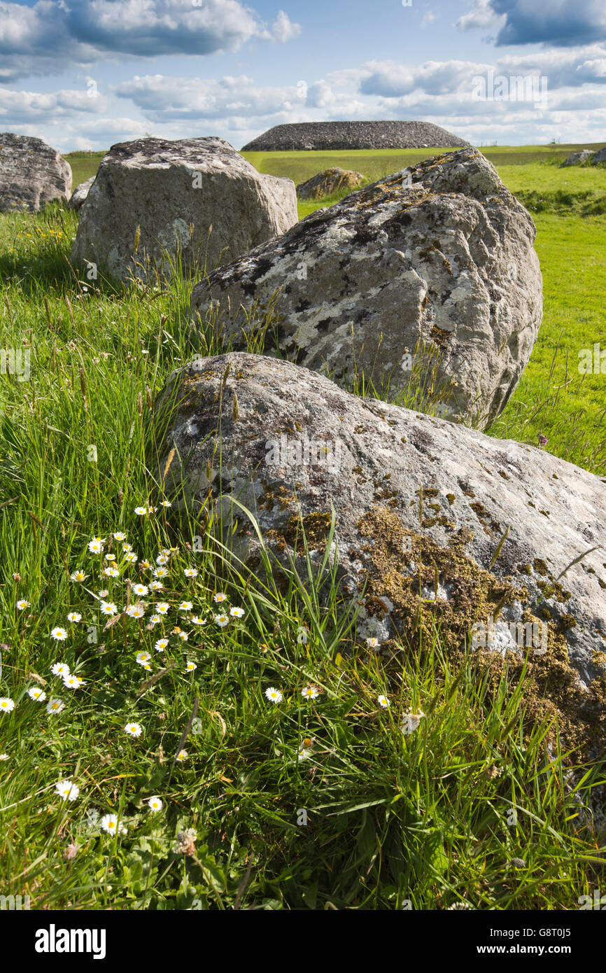 Cairns cemetery hi-res stock photography and images - Alamy