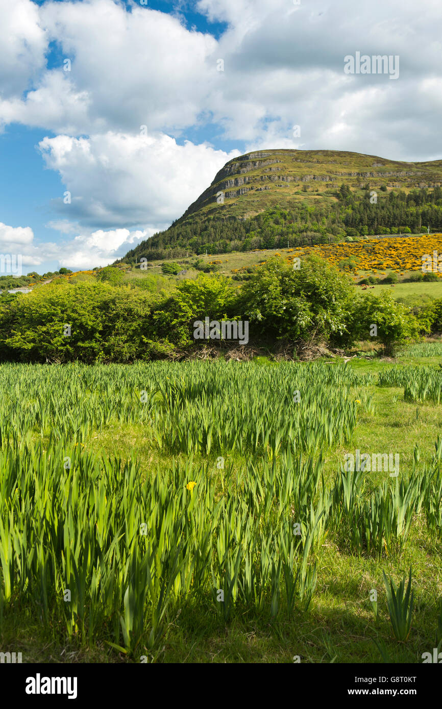 Knocknarea hi-res stock photography and images - Alamy