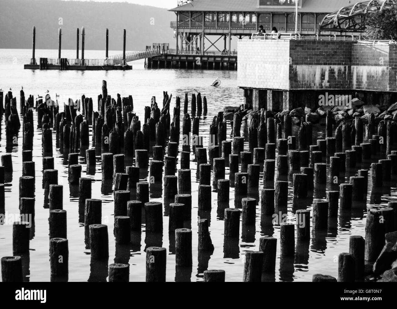 Clean river Black and White Stock Photos & Images - Alamy