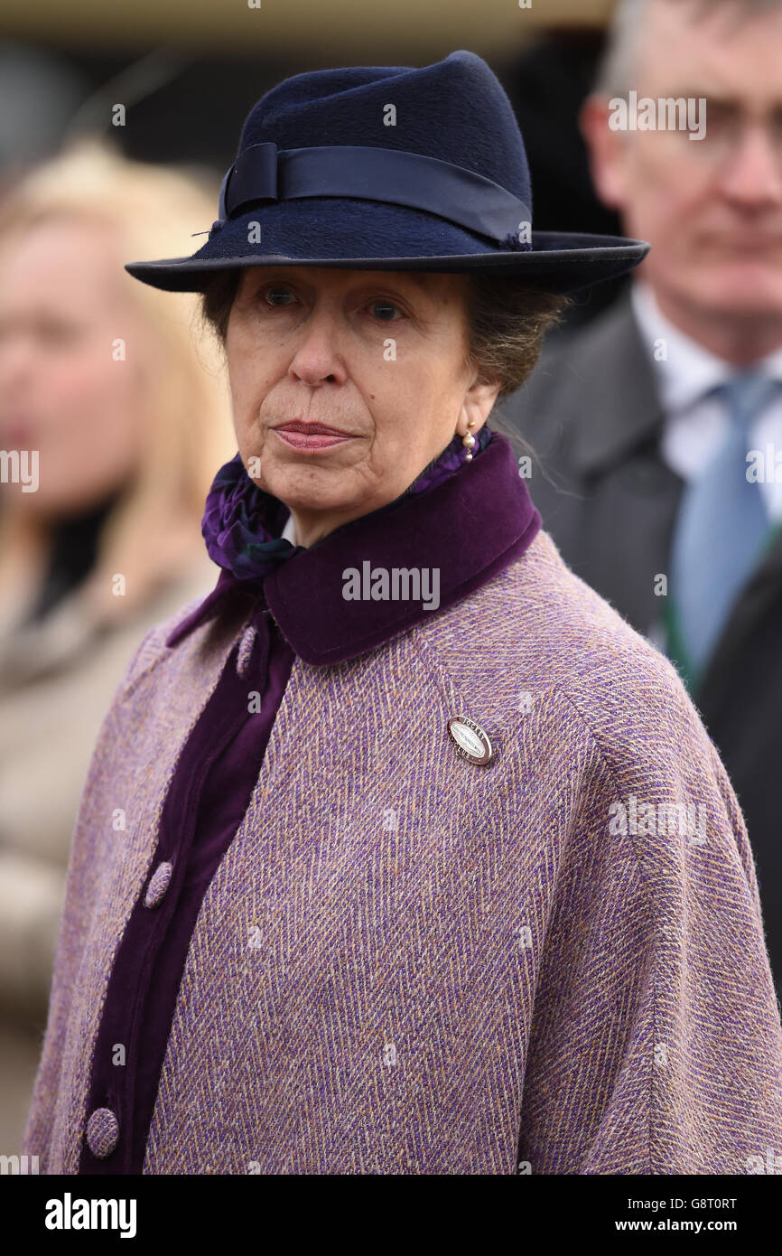 The Princess Royal watches the Queen Mother Champion Chase during ...