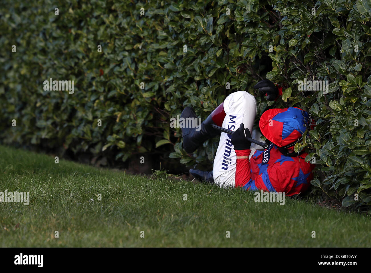 Jockey falling hedge horse racing hi-res stock photography and images ...