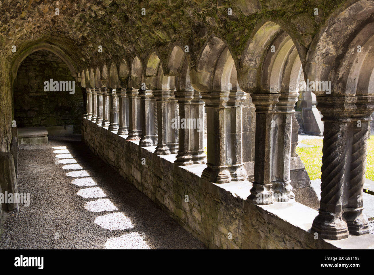 Ireland, Co Sligo, Sligo, Abbey, cloisters Stock Photo - Alamy