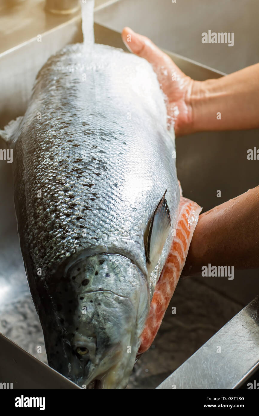 Hands washing fish in sink Stock Photo - Alamy