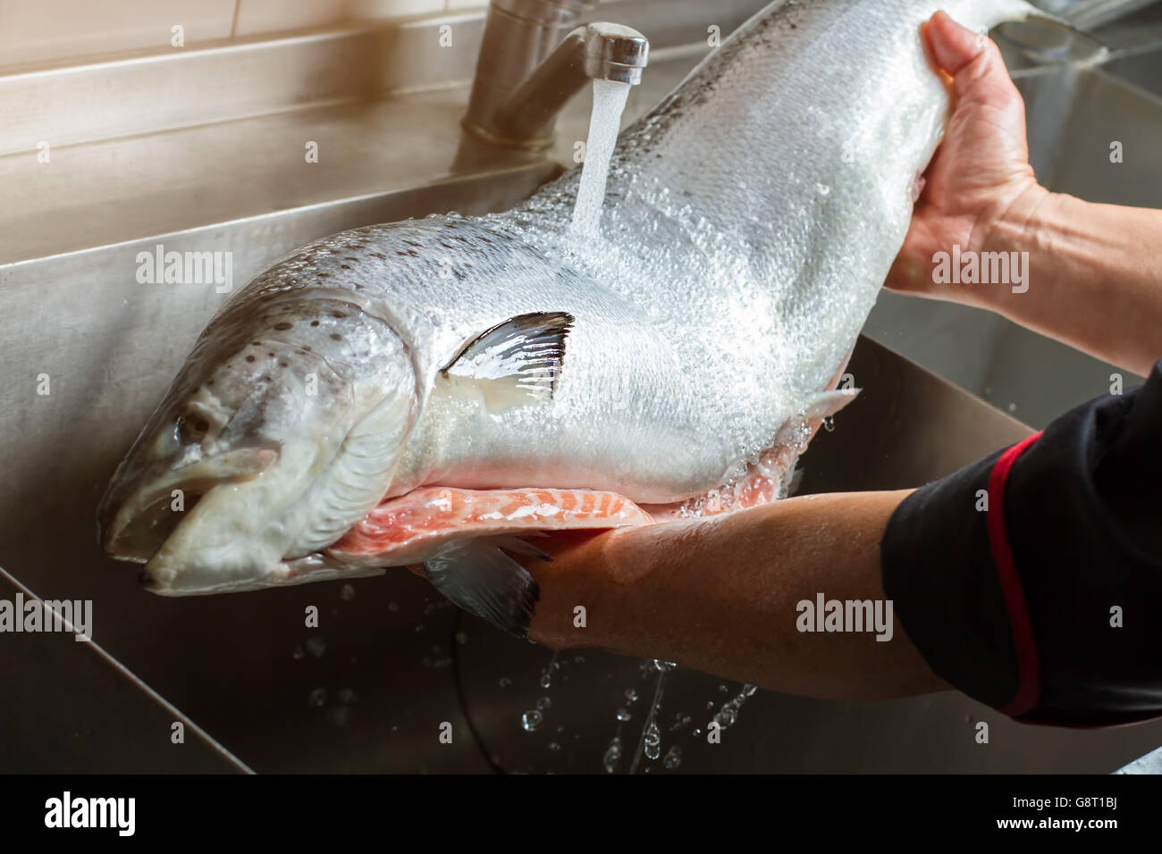 Washing of fish hi-res stock photography and images - Alamy