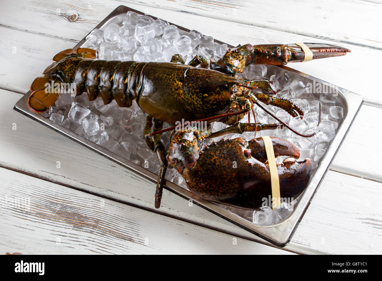 Raw lobsters laying on ice Stock Photo - Alamy