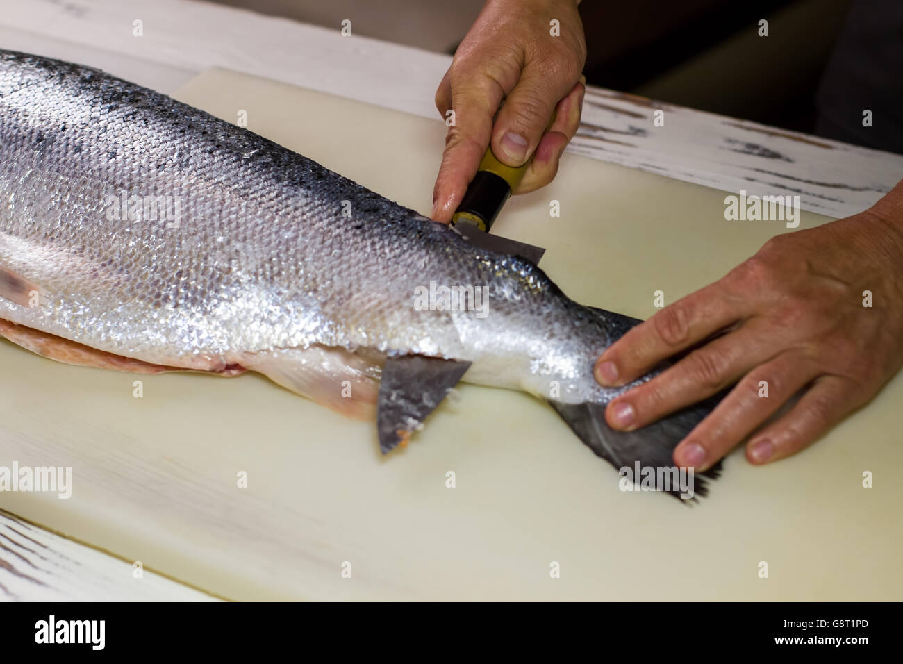 How fish gills work hi-res stock photography and images - Alamy