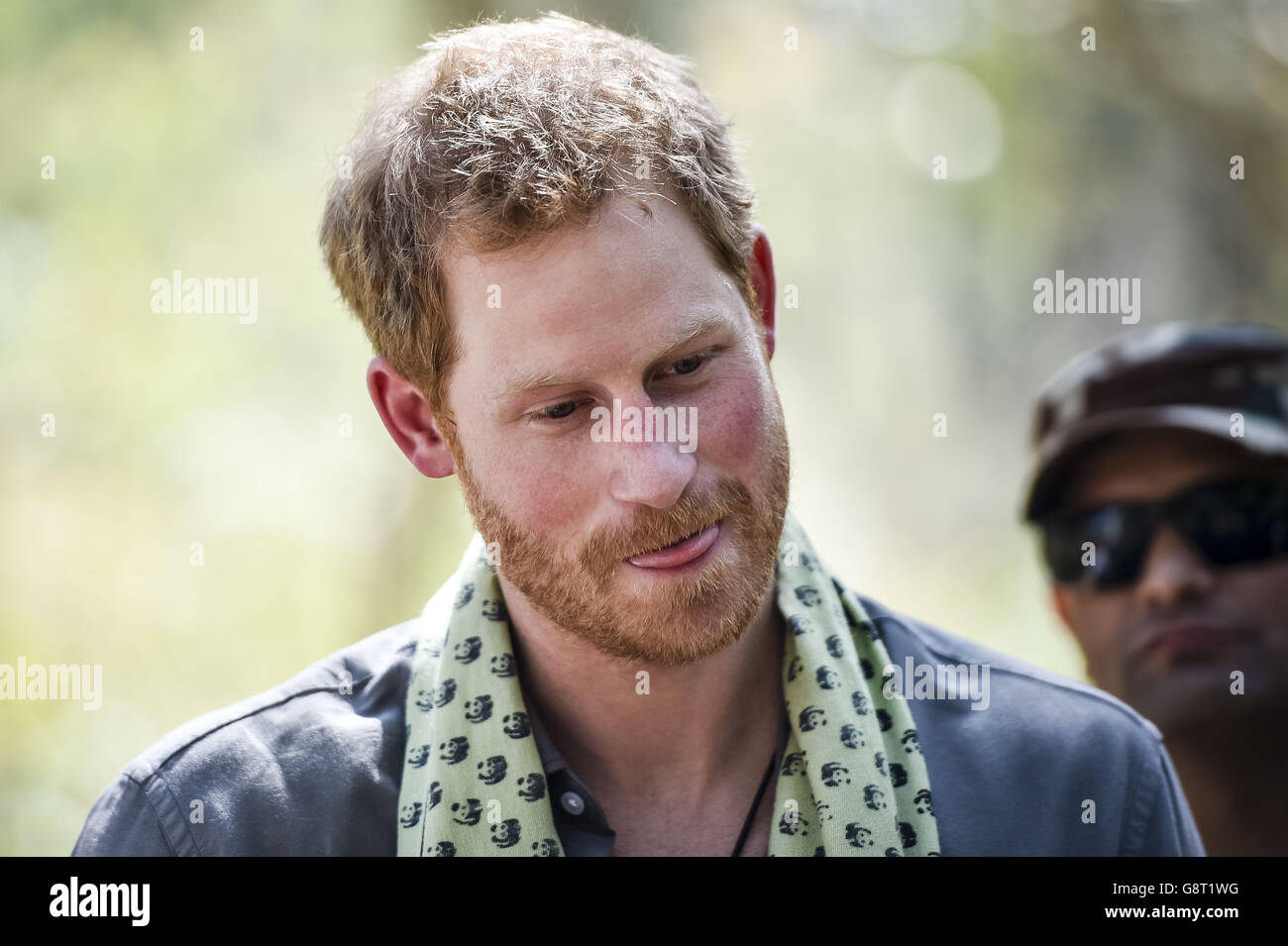 Prince Harry looks at photos of himself and of tigers on a laptop as he ...