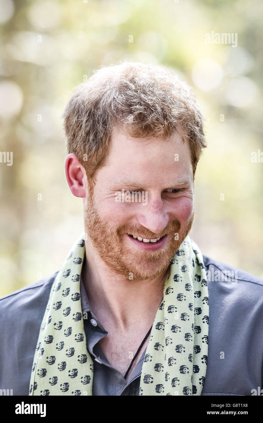 Prince Harry looks at photos of himself and of tigers on a laptop as he ...