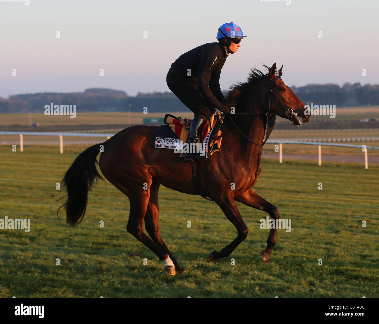 Emmet McNamara takes Pretty Perfect from Coolmore Stud on a post race ...