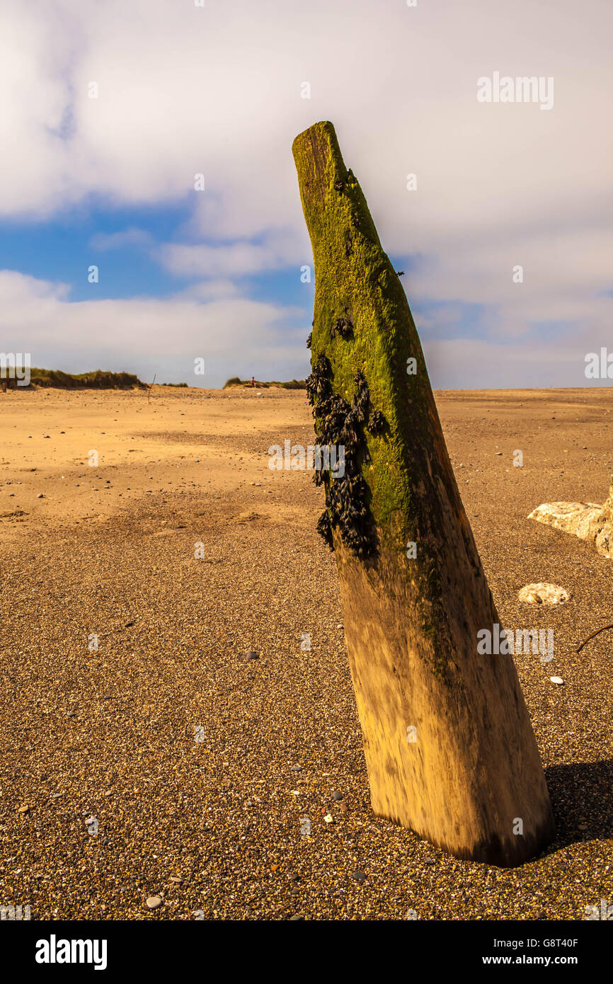 Spurn head hi-res stock photography and images - Alamy