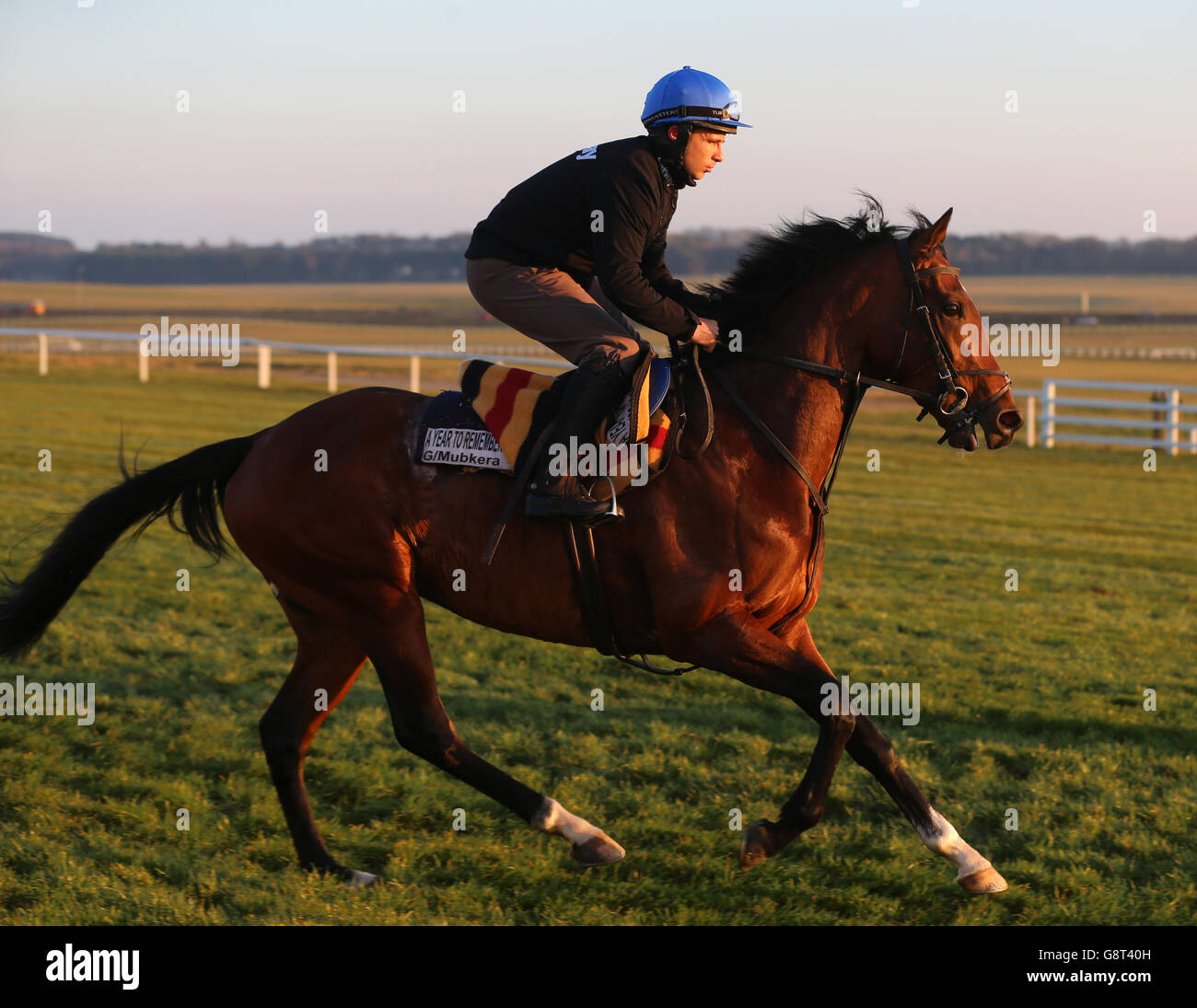 Alan Crowe takes A year to Remember from Coolmore Stud on a post race ...
