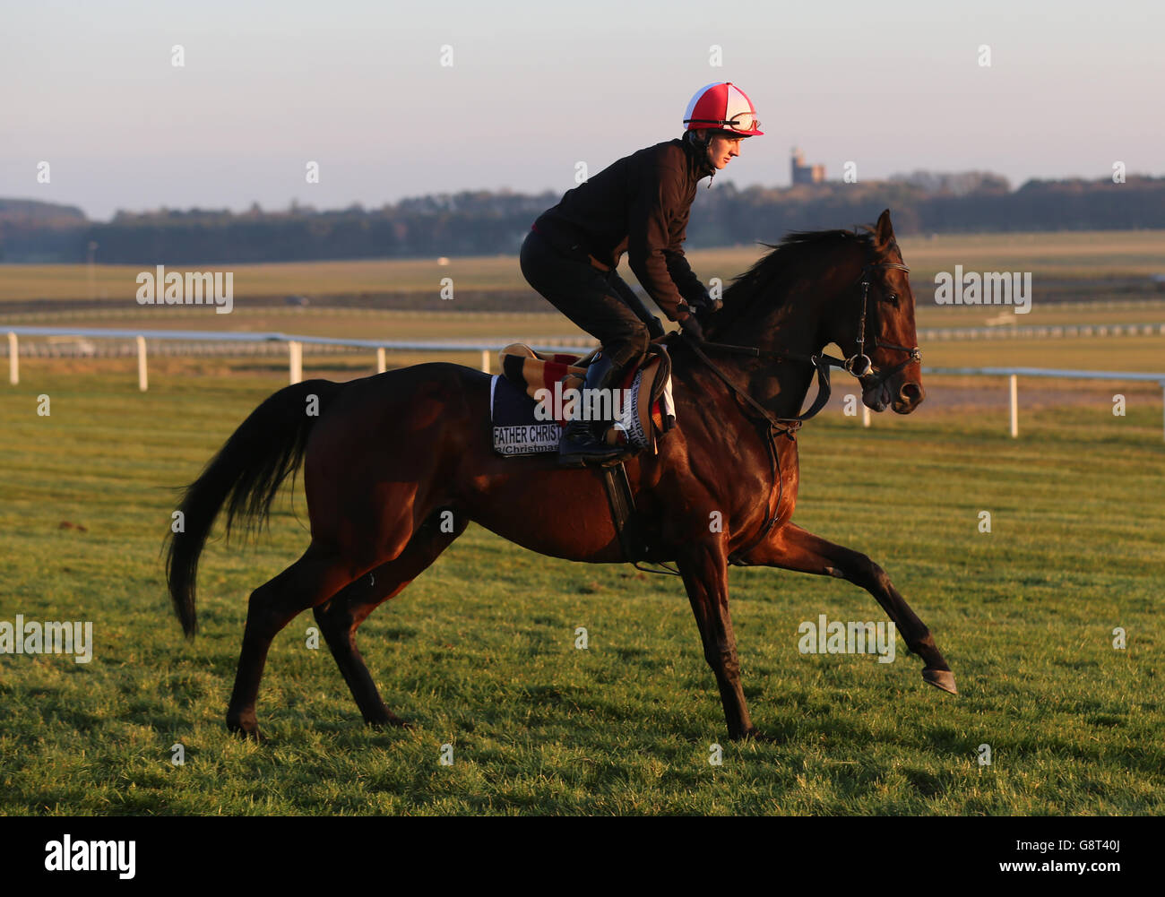 David Bergin takes Father Christmas from Coolmore Stud on a post race ...