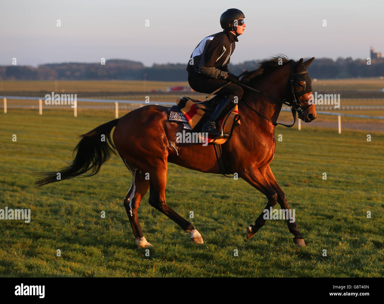 Joseph O'Brien takes Sir Isaac Newton from Coolmore Stud on a post race ...