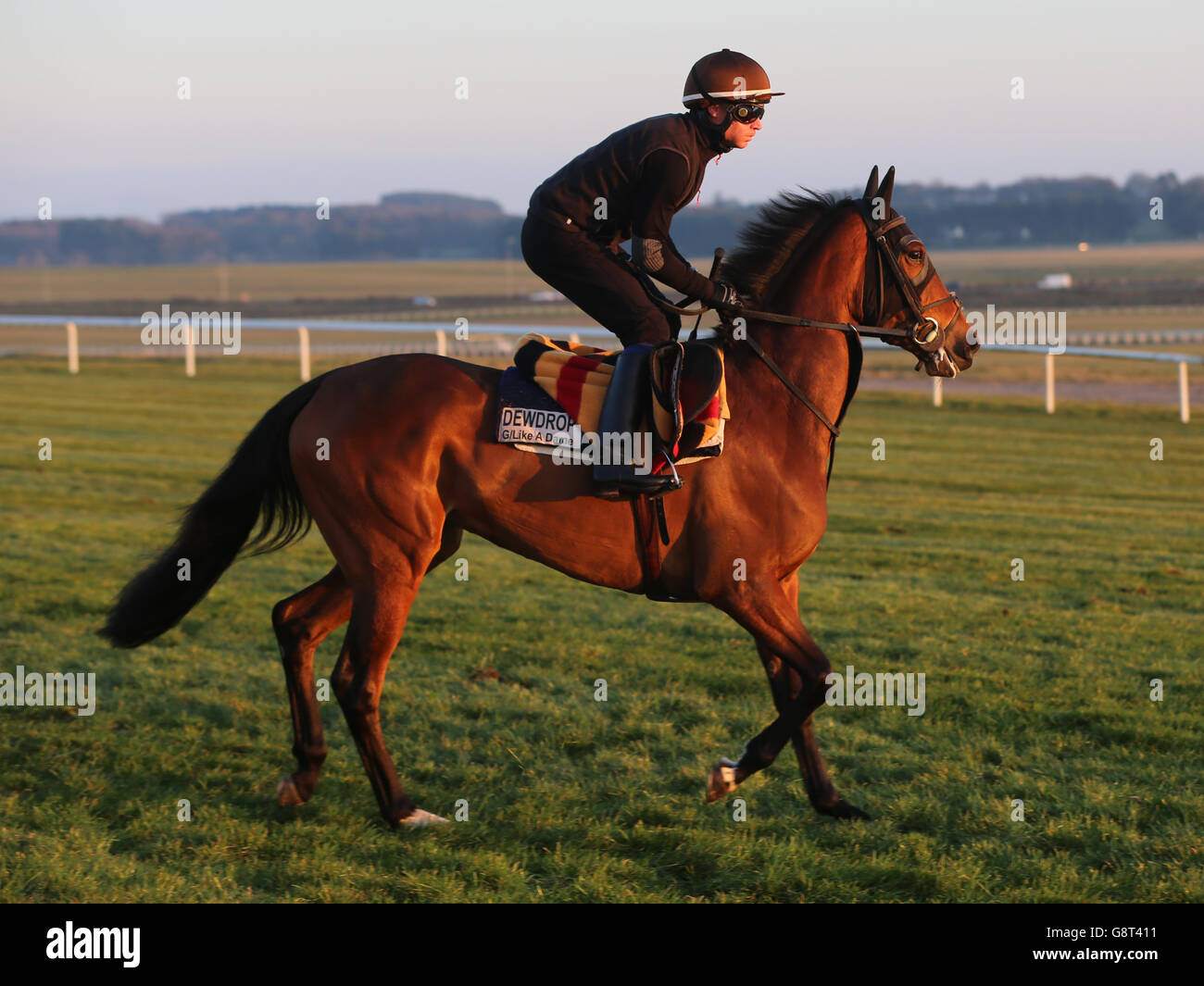 Dean Gallagher takes Dewdrop from Coolmore Stud on a post race gallop ...