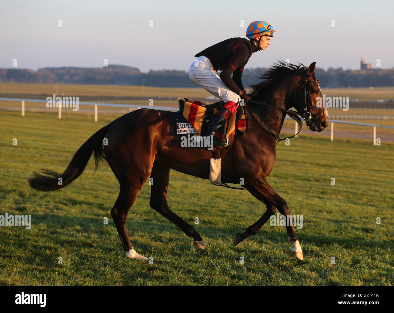 Donnacha O'Brien takes Ballydoyle from Coolmore Stud on a post race ...