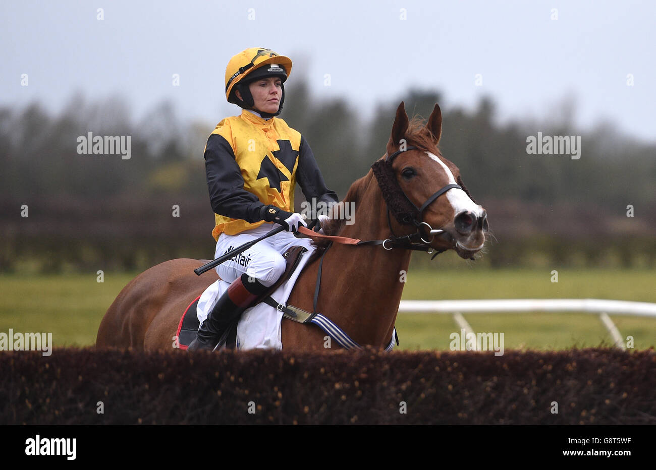 Point To Point - Kimblewick Races Stock Photo - Alamy