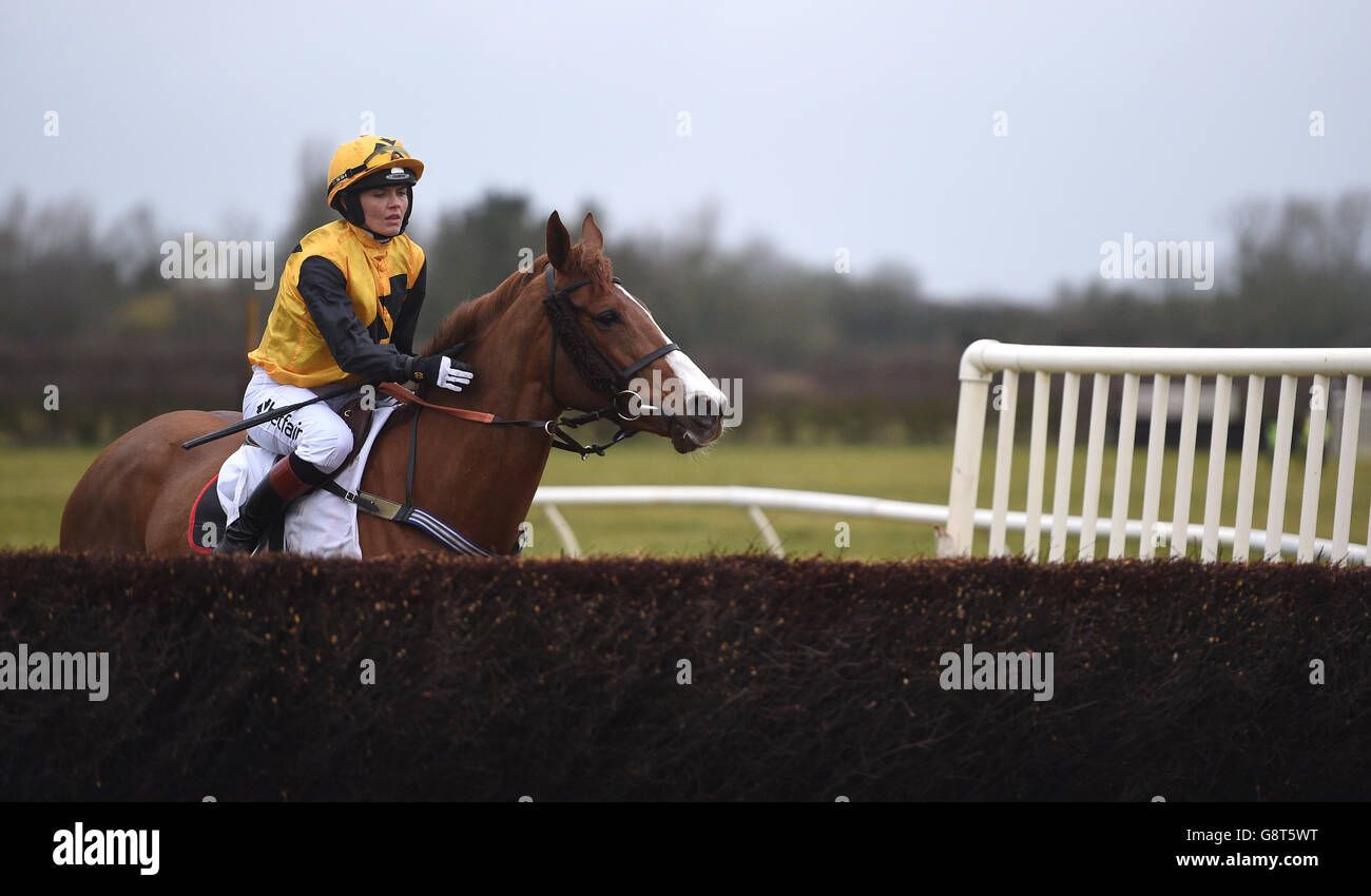 Point To Point - Kimblewick Races Stock Photo - Alamy