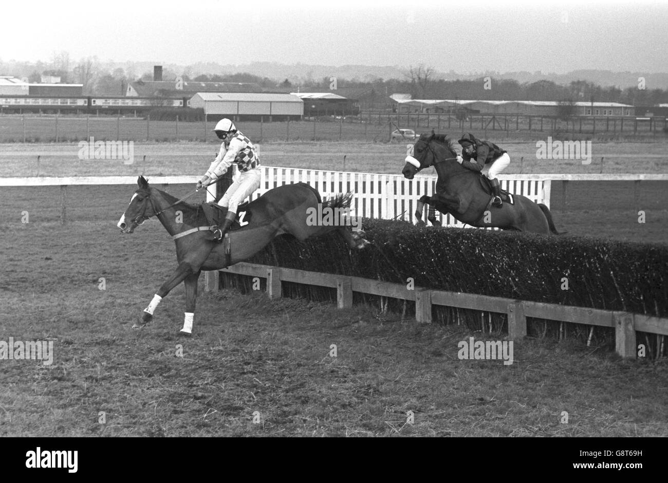 Sam Cowan Novice Steeplechase at Newbury Stock Photo - Alamy