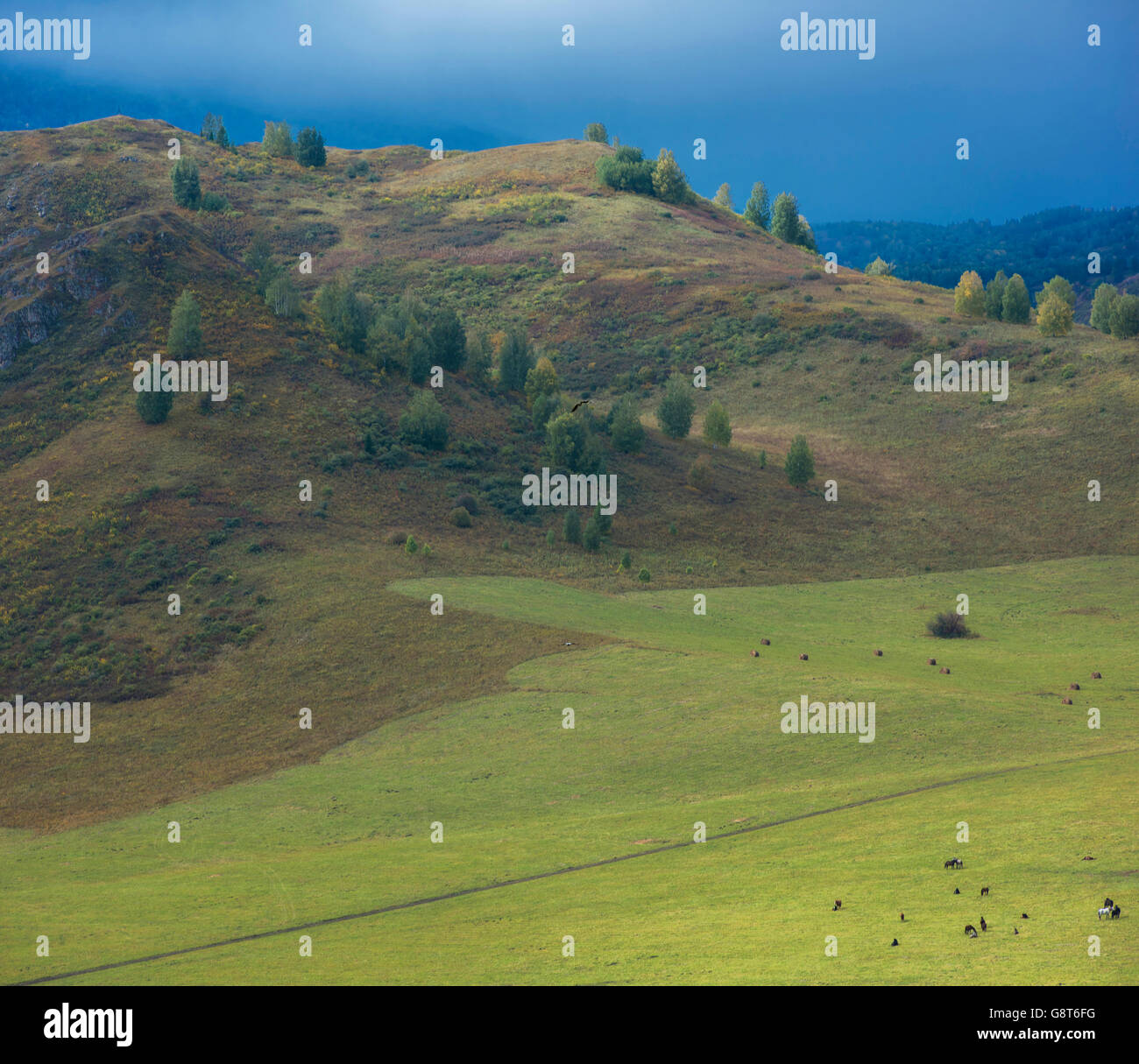 Altay mountains in Siberia Stock Photo - Alamy