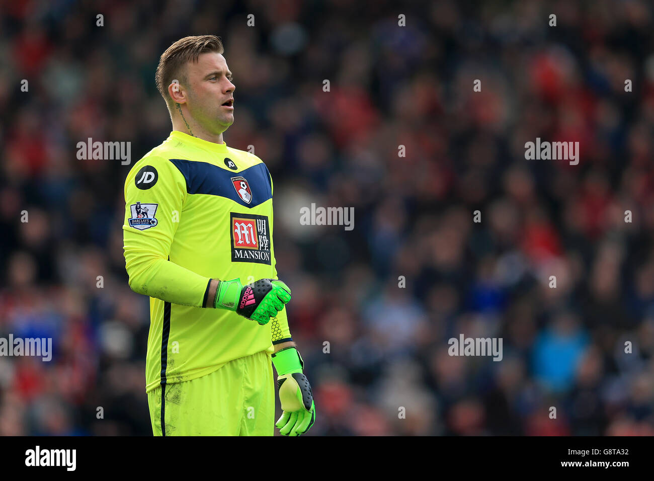 Afc bournemouth v manchester city barclays premier league vitality ...