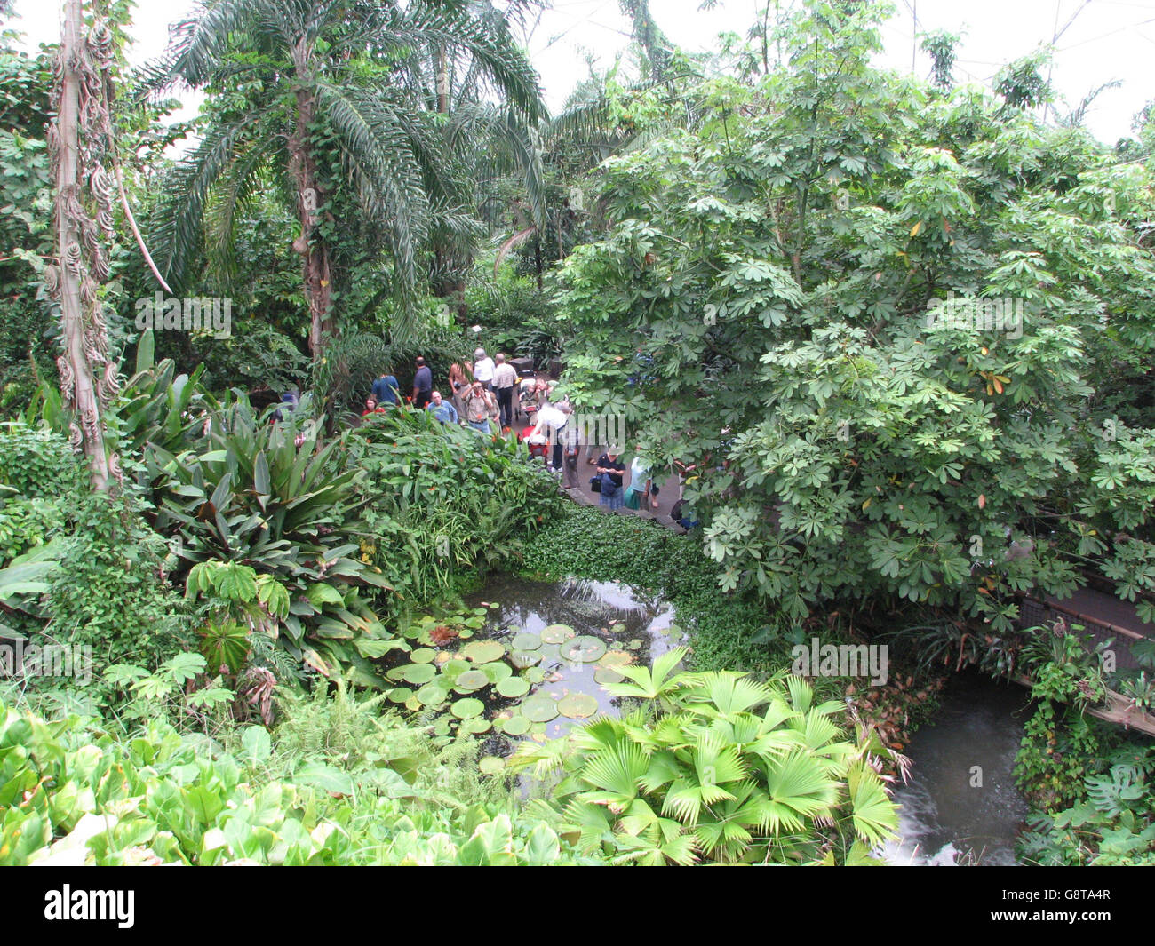 Interior view eden project hi-res stock photography and images - Alamy