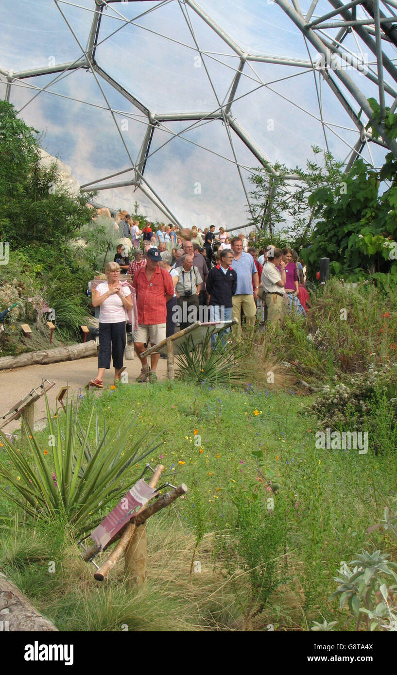 Eden project. Interior view of the Eden project in Cornwall Stock Photo ...