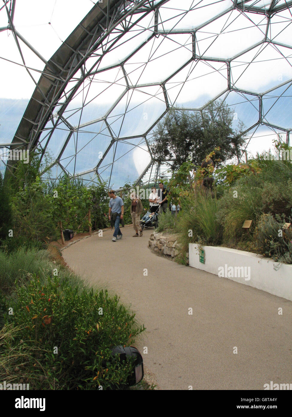 Interior view of the Eden project in Cornwall Stock Photo - Alamy