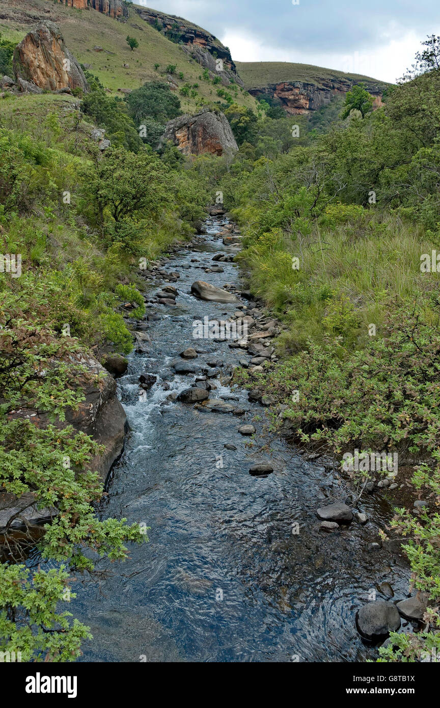 Mountain river in Giants Castle KwaZulu-Natal nature reserve ...
