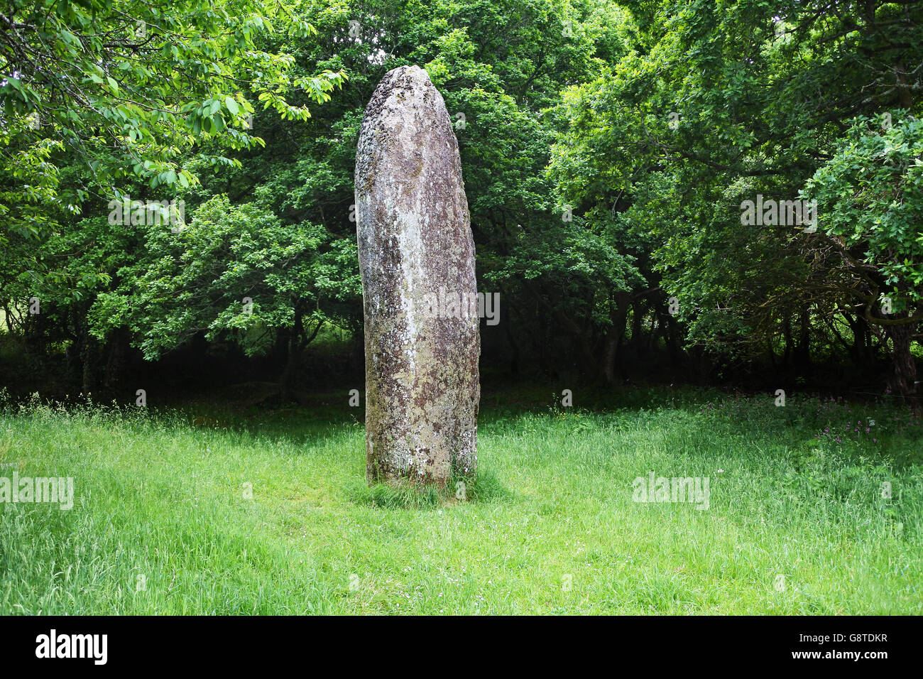 Menhir monolith megalith stone hi-res stock photography and images - Alamy