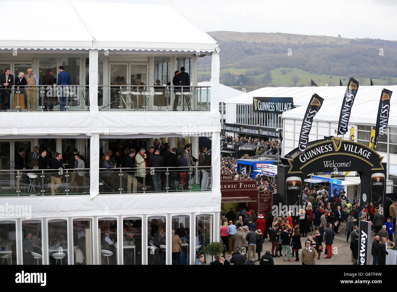 Guinness village ladies day cheltenham festival cheltenham racecourse ...