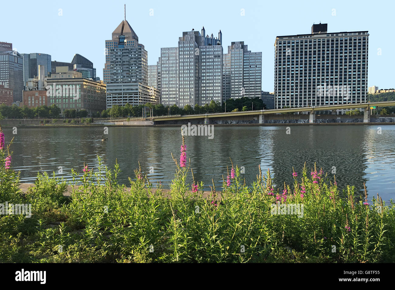 Pittsburgh skyline hi-res stock photography and images - Alamy