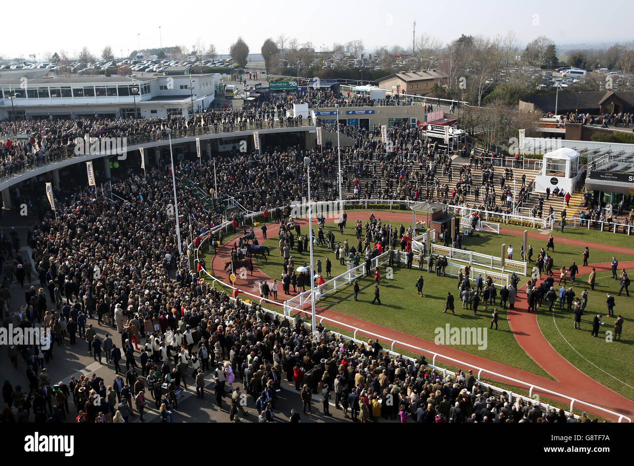 A general view of the parade ring during St Patrick's Thursday at the ...