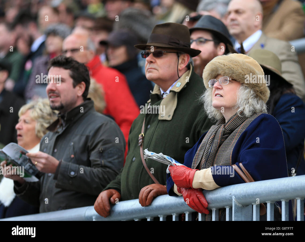 2016 Cheltenham Festival - Ladies Day - Cheltenham Racecourse ...