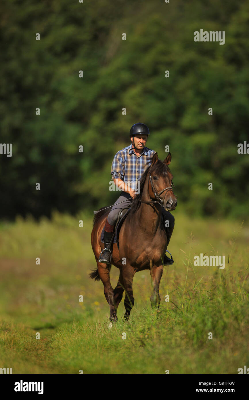 Senior man horseback riding in field Stock Photo - Alamy