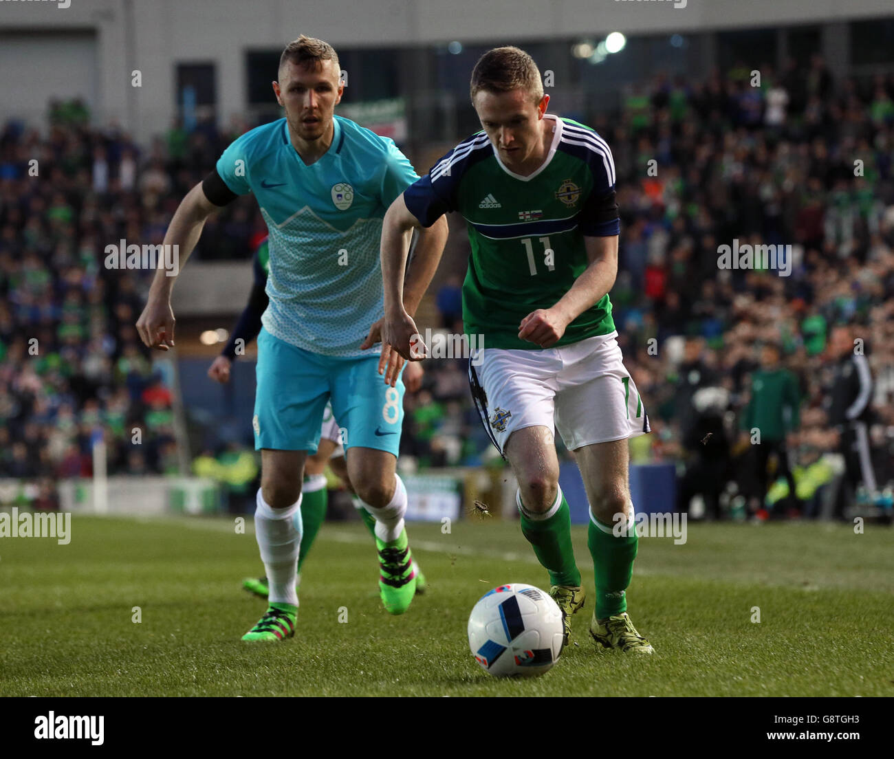 Shane ferguson windsor park hi-res stock photography and images - Alamy
