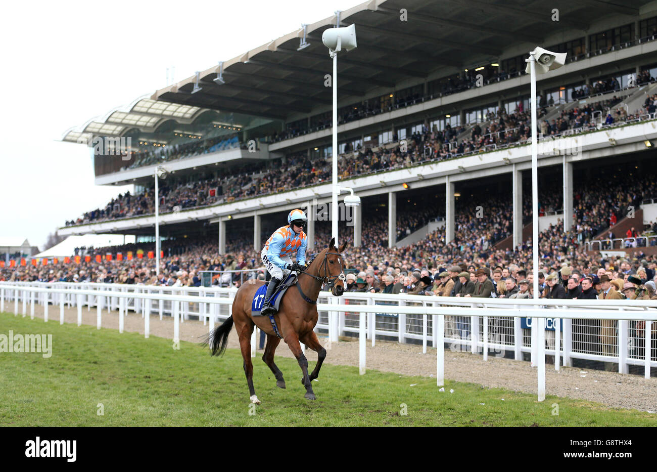 Mad Jack Mytton ridden by jockey Richie McLernon going to post prior to ...