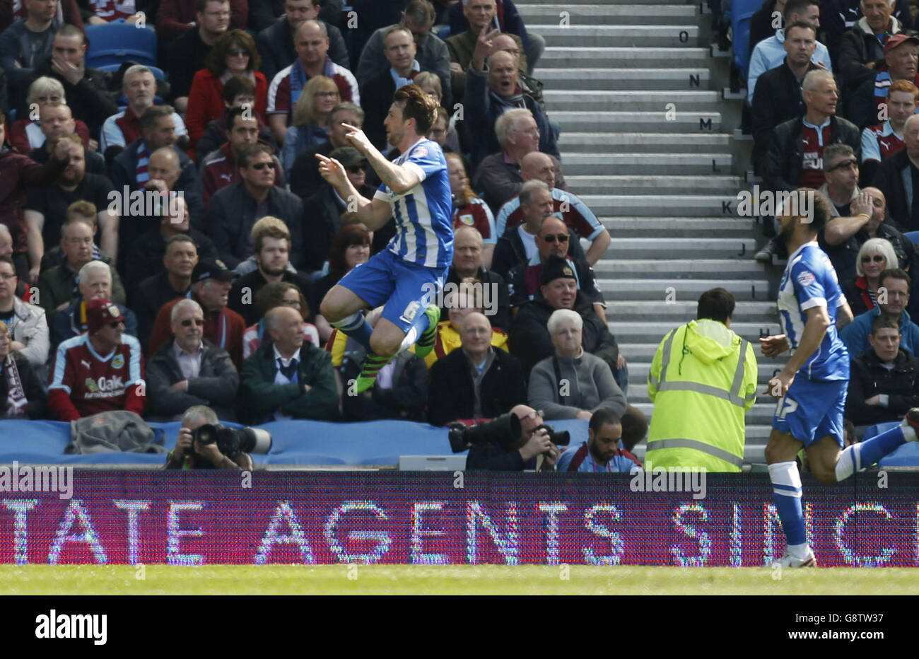 Brighton and Hove Albion's Dale Stephens celebrates scoring his side's ...