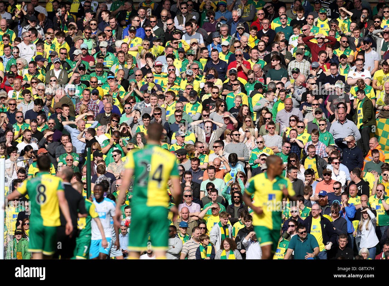 Soccer norwich hi-res stock photography and images - Alamy