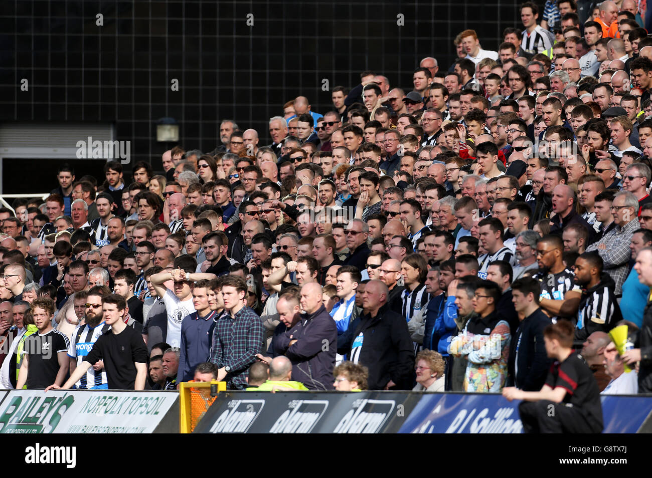 Newcastle united fans in the stands hi-res stock photography and images ...