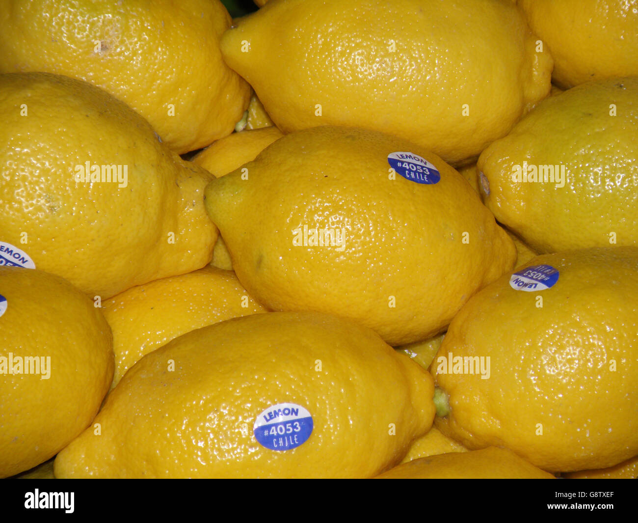 Ripe farm fresh lemons at a farm stand Stock Photo - Alamy
