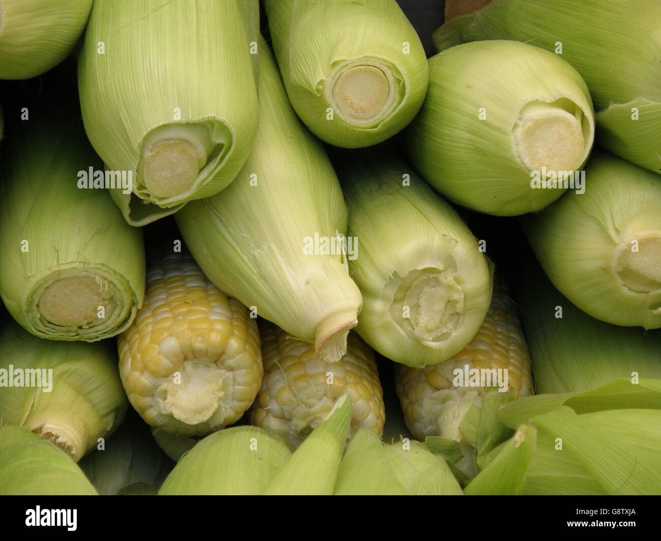 Corn cobs stand hi-res stock photography and images - Alamy