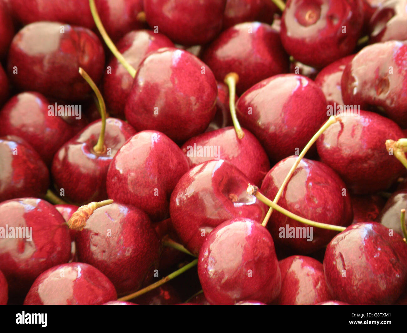 Cherry Cultivar Stock Photos & Cherry Cultivar Stock Images - Alamy
