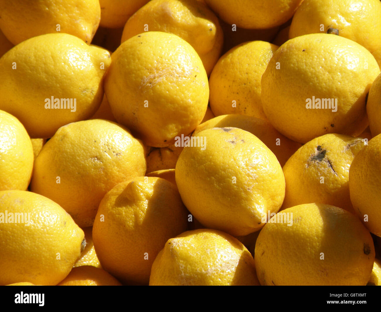 Produce citrus limon agriculture hi-res stock photography and images ...