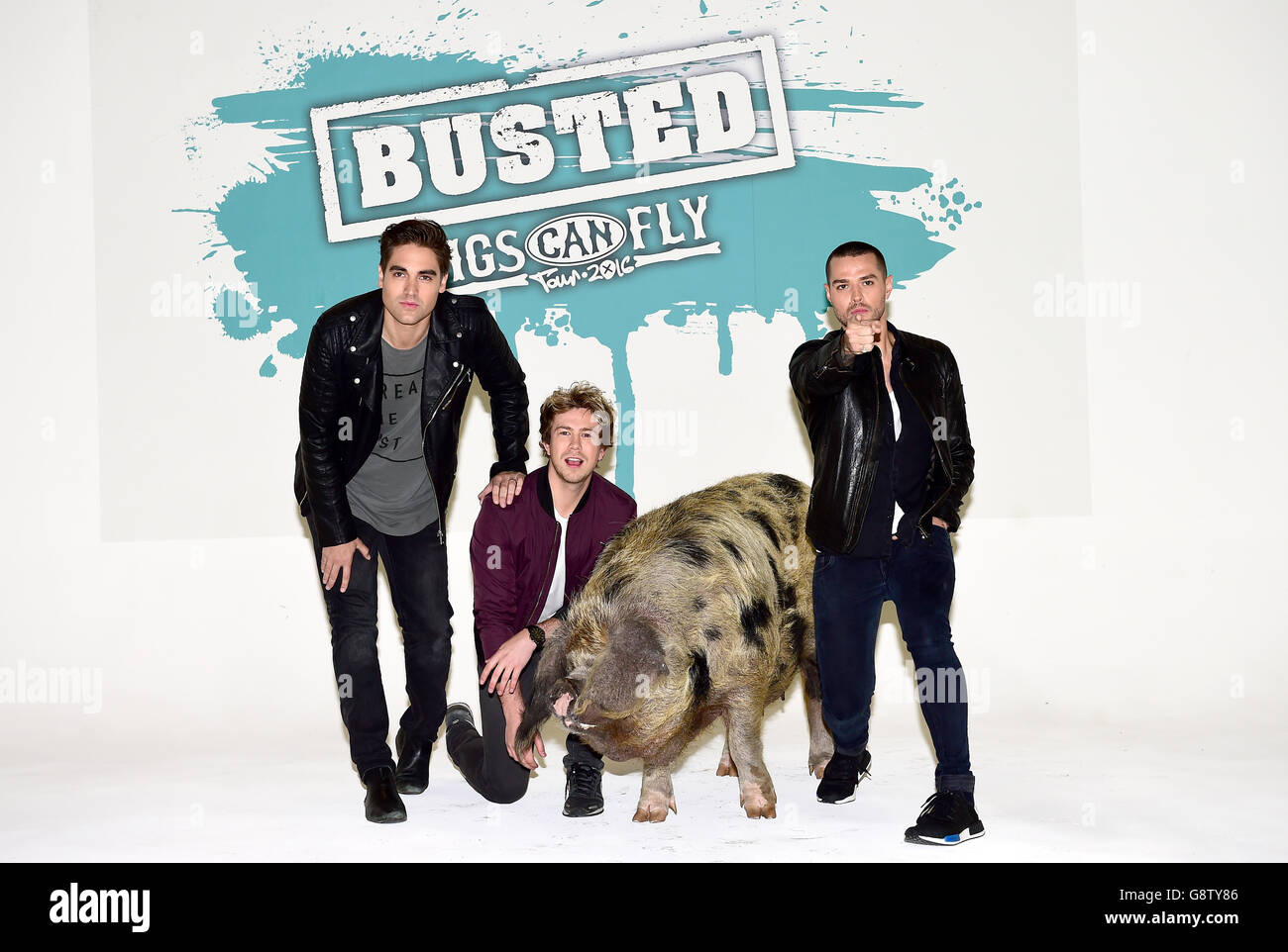 Pigs Can Fly Stock Photos & Pigs Can Fly Stock Images - Alamy