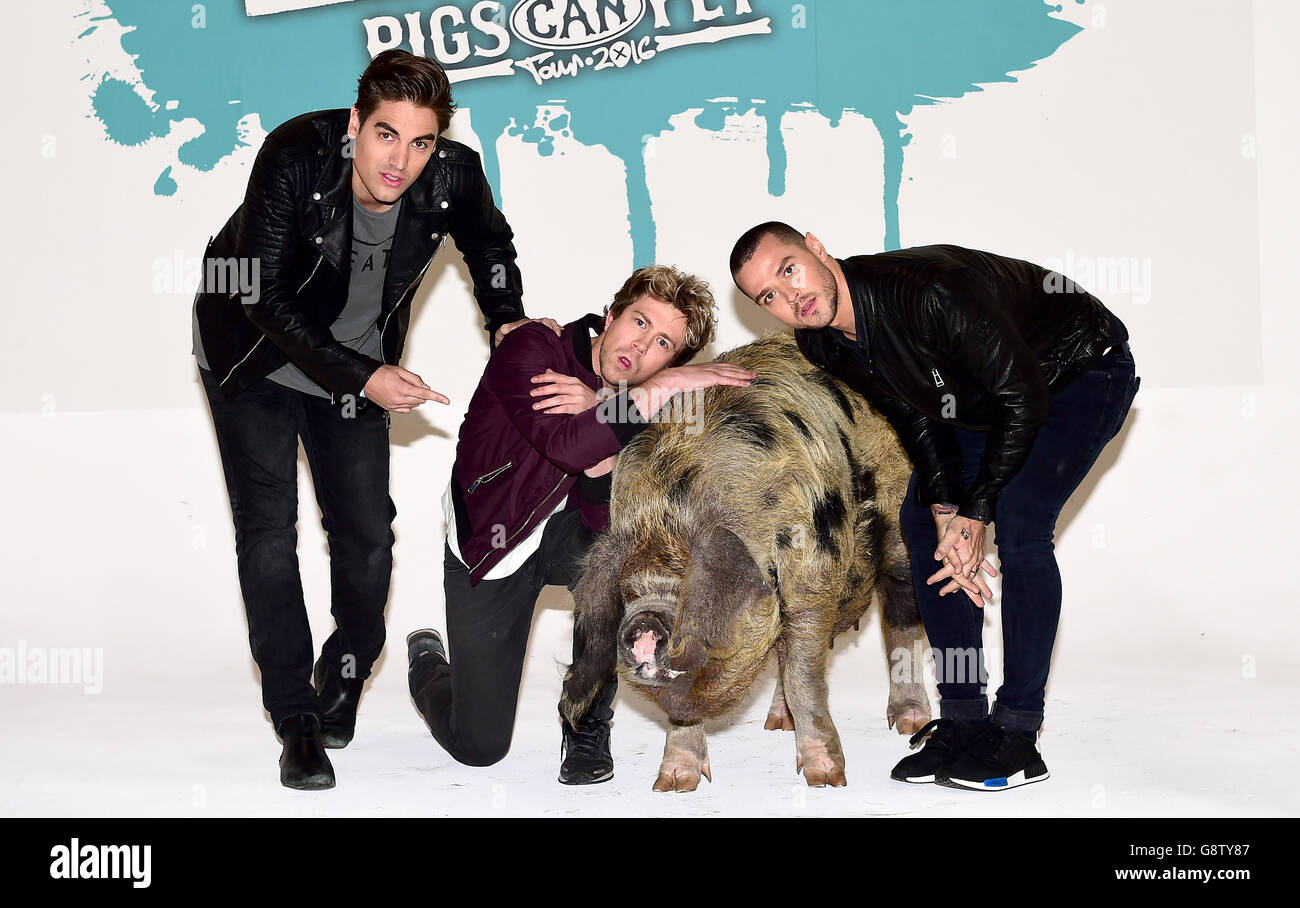 Pigs Can Fly tour 2016 Stock Photo - Alamy