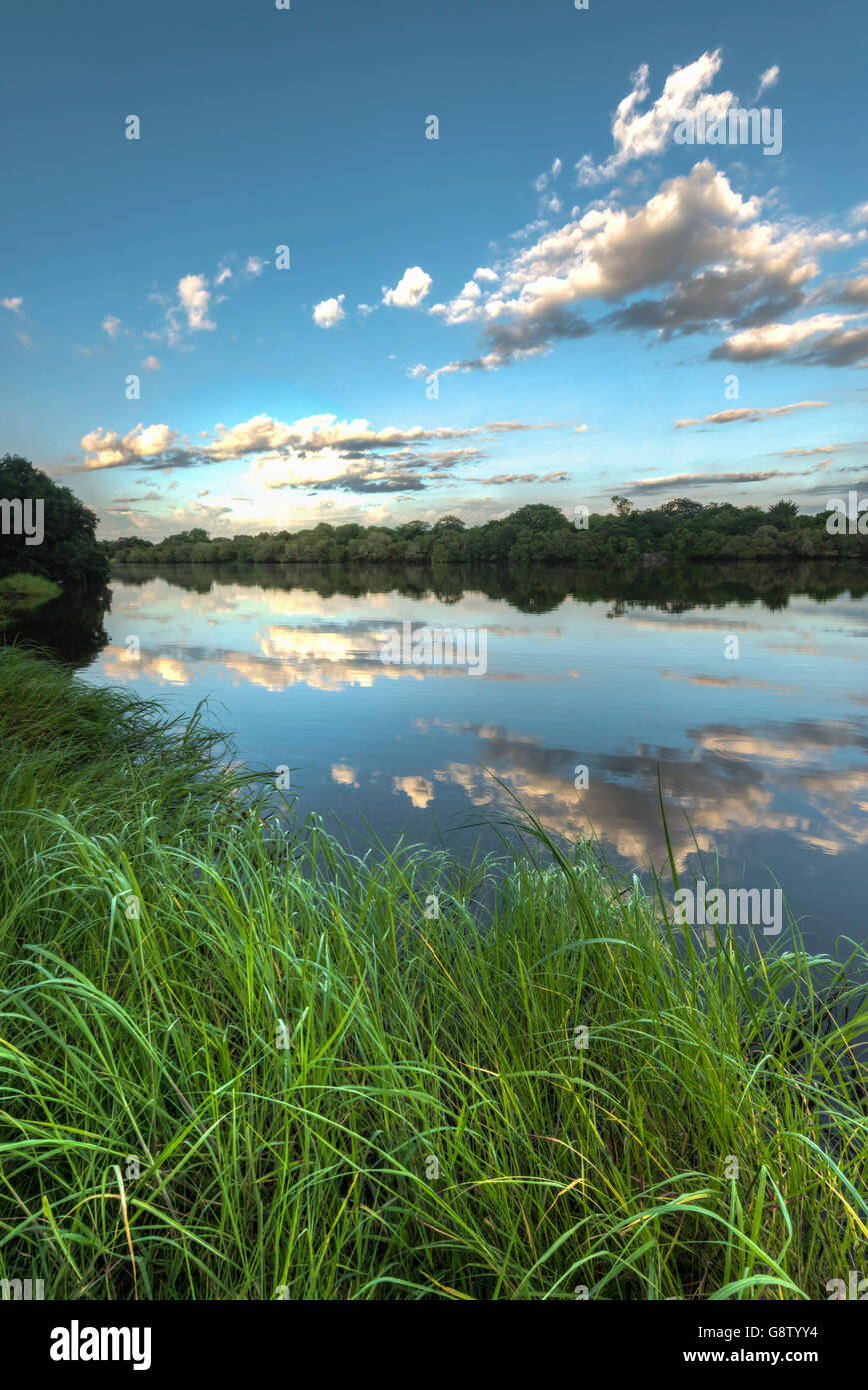 Lush green flood plain hi-res stock photography and images - Alamy