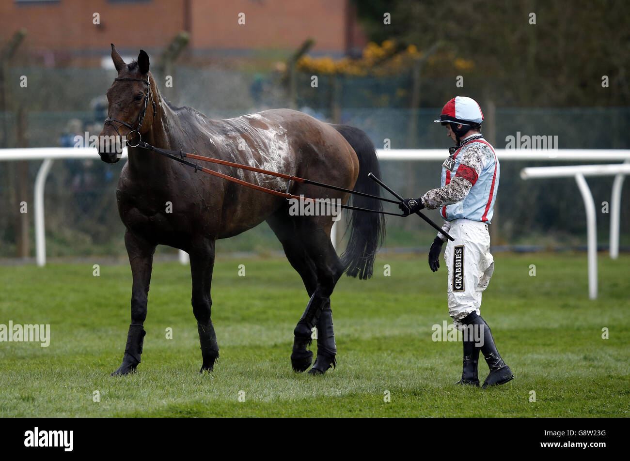 Grand national photo finish horse hi-res stock photography and images ...