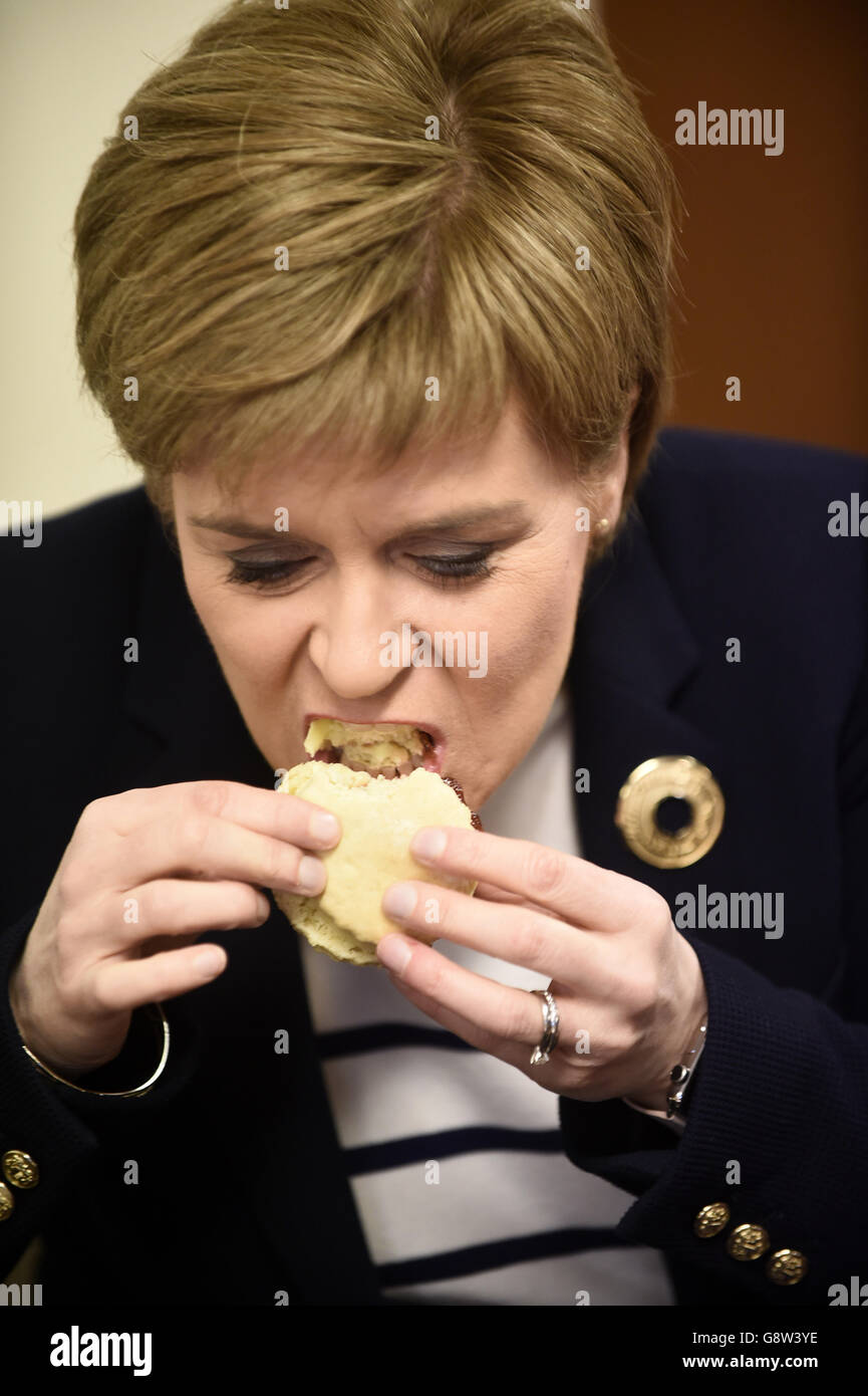 Scottish Parliament election 2016 campaign Stock Photo - Alamy