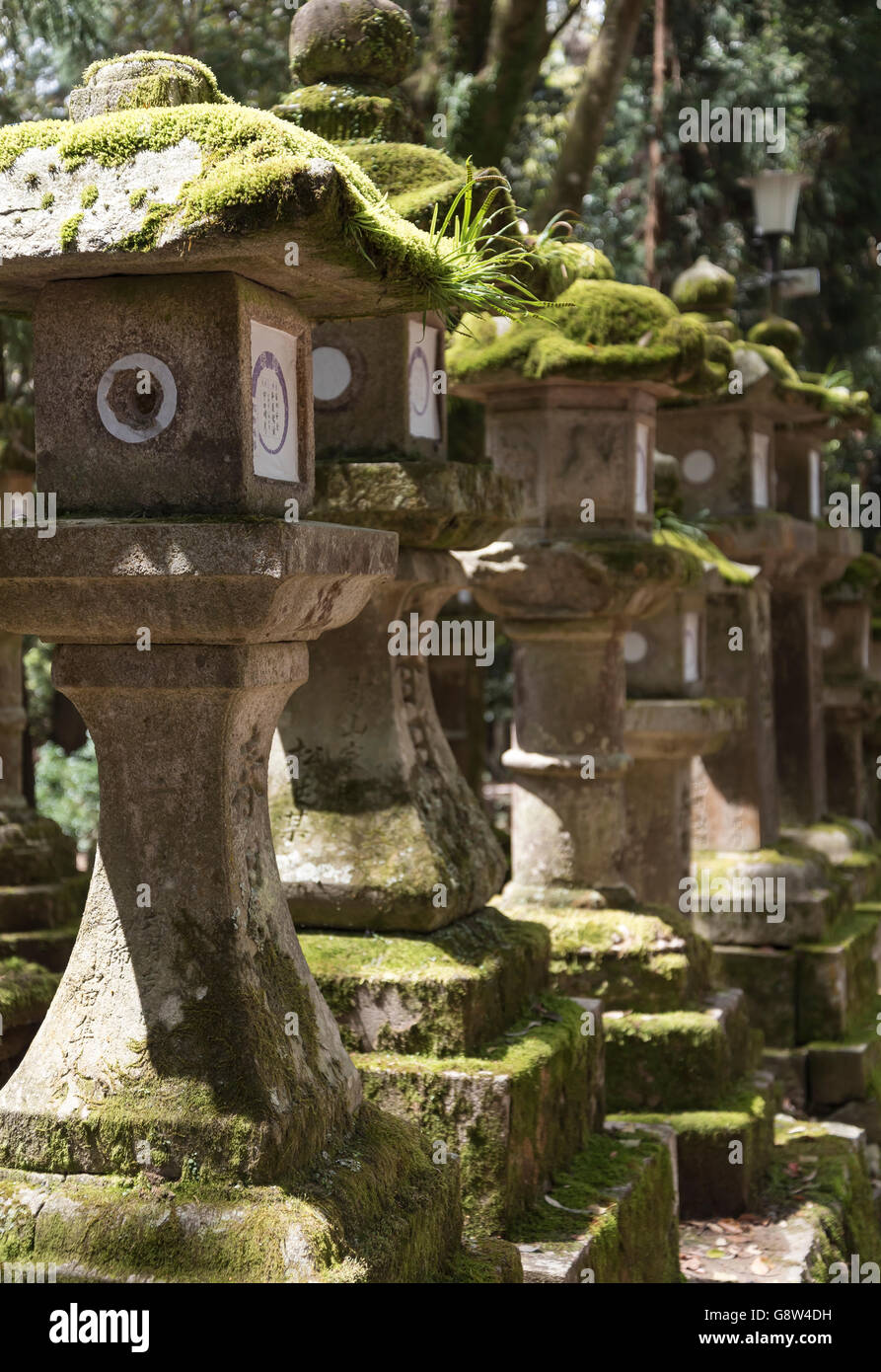Toro (stone lanterns) along the path to Kasuga Taisha Shrine in Nara ...